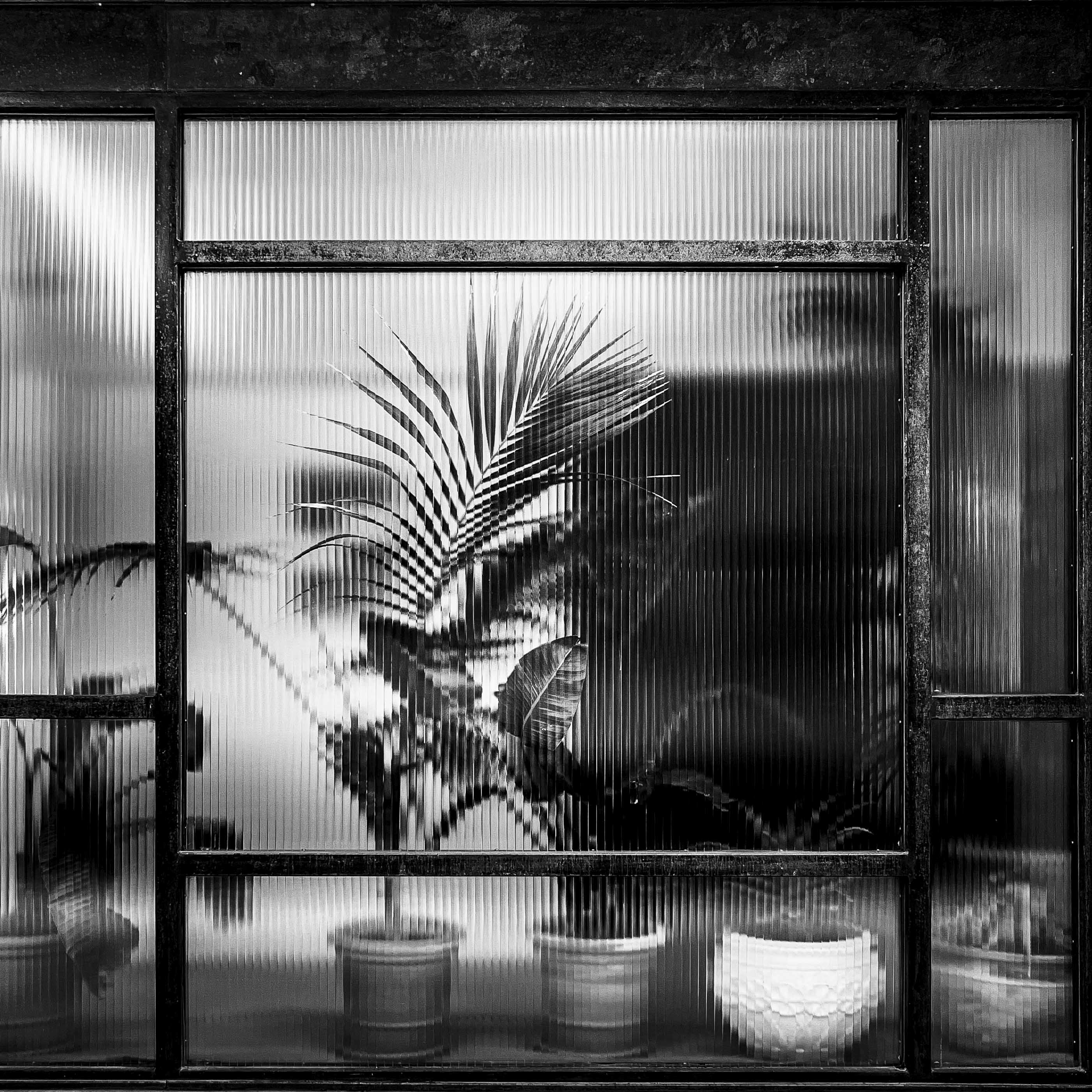 La transparence … | Clichés